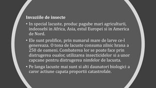 Hazardele biologice | PDF