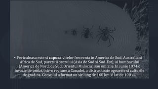 Hazardele biologice | PDF