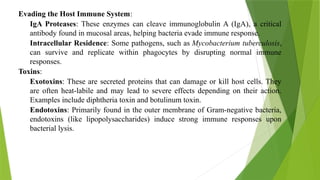 HAZARD IDENTIFICATION AND HAZARD CONTROL PROCESSES.pptx