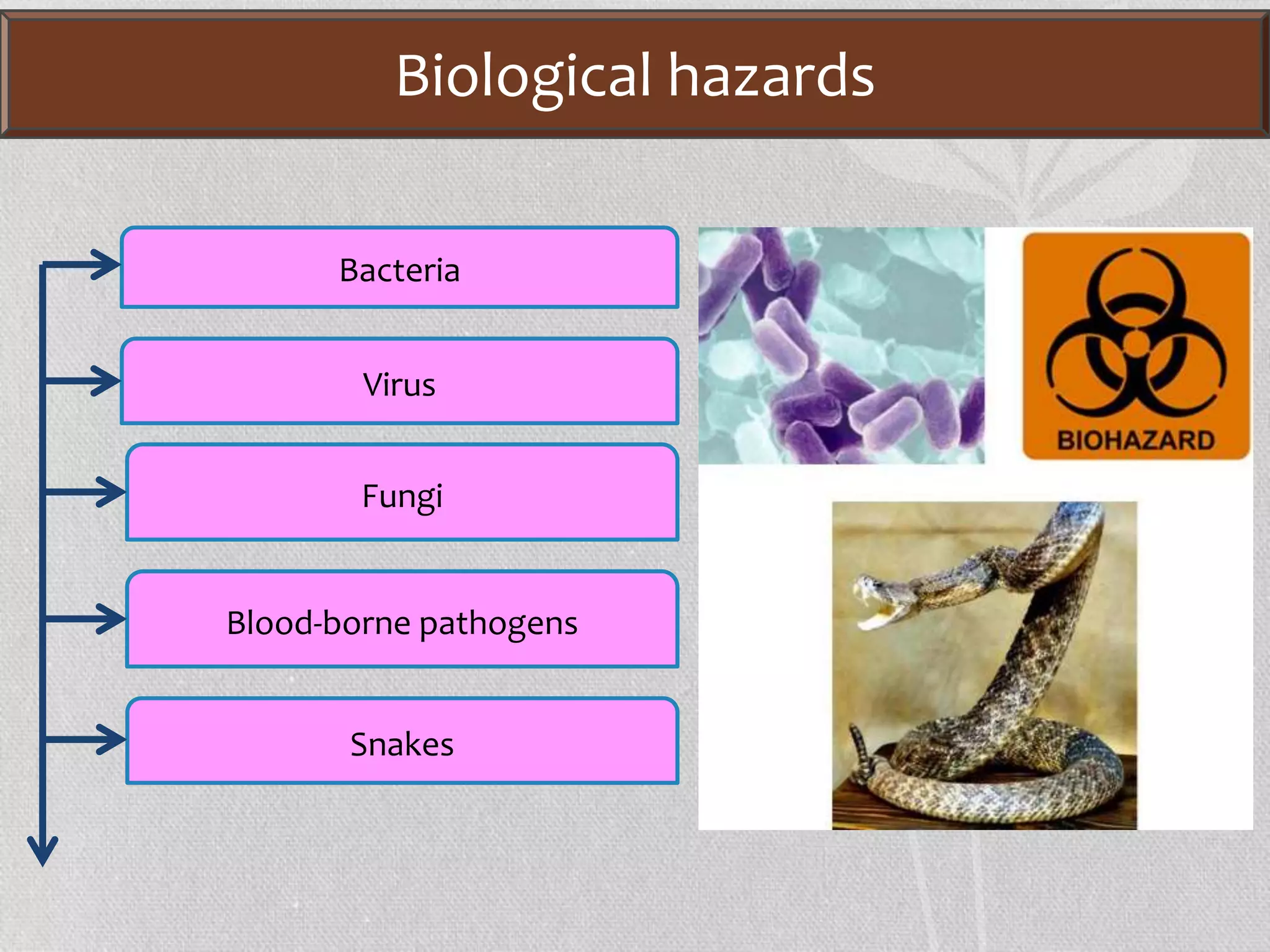 Hazard Identification & Risk assessment...pptx