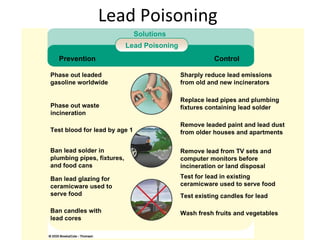 Hazardous wastes | PPT