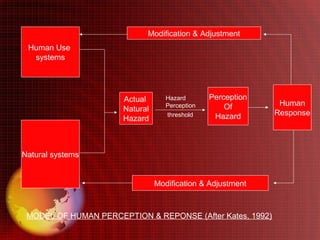 Hazard perception and response kates | PPT
