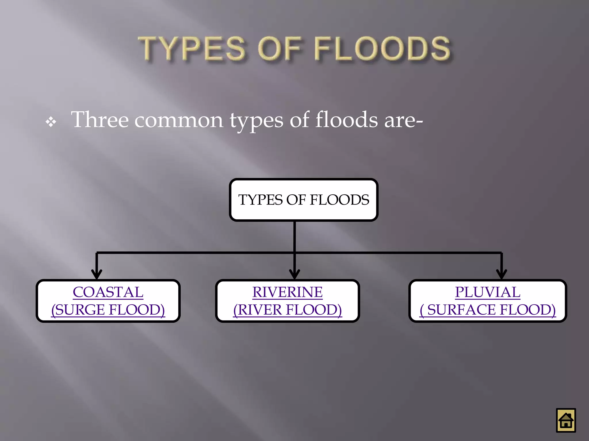 Floods and Avalanches | PPTX