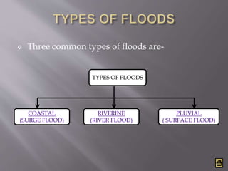 Floods and Avalanches | PPTX | Science