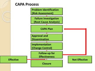 Hazards and risk management | PPTX