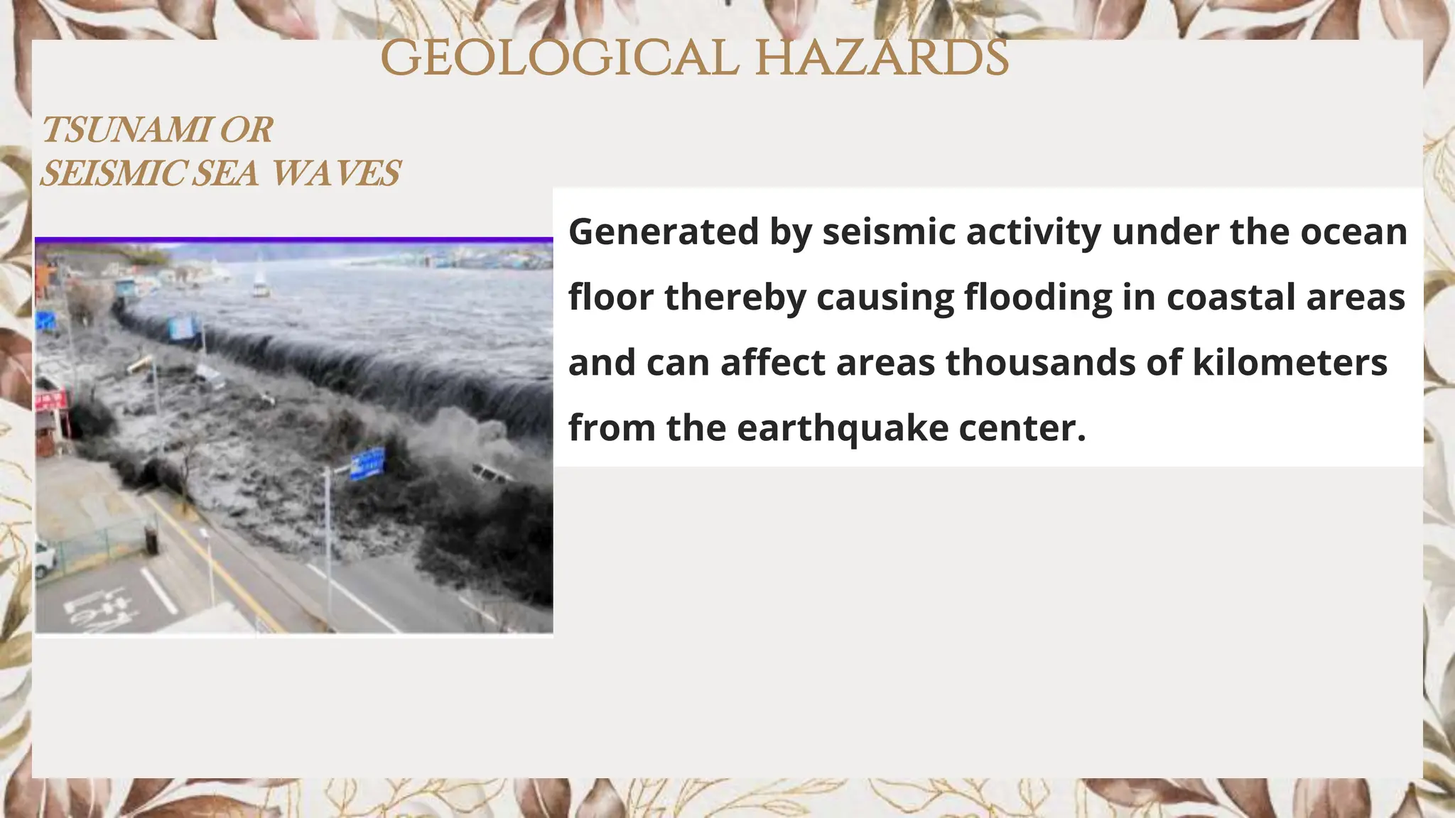 Hazards natural and man-made hazards .pptx