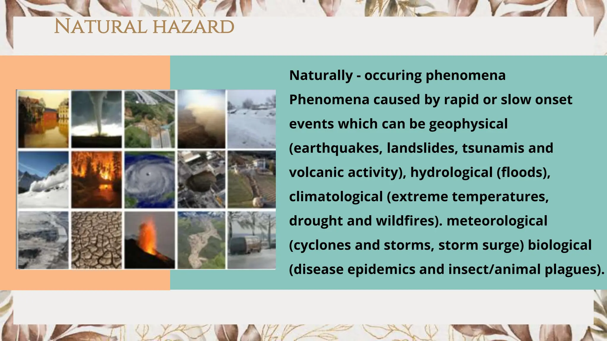 Hazards natural and man-made hazards .pptx