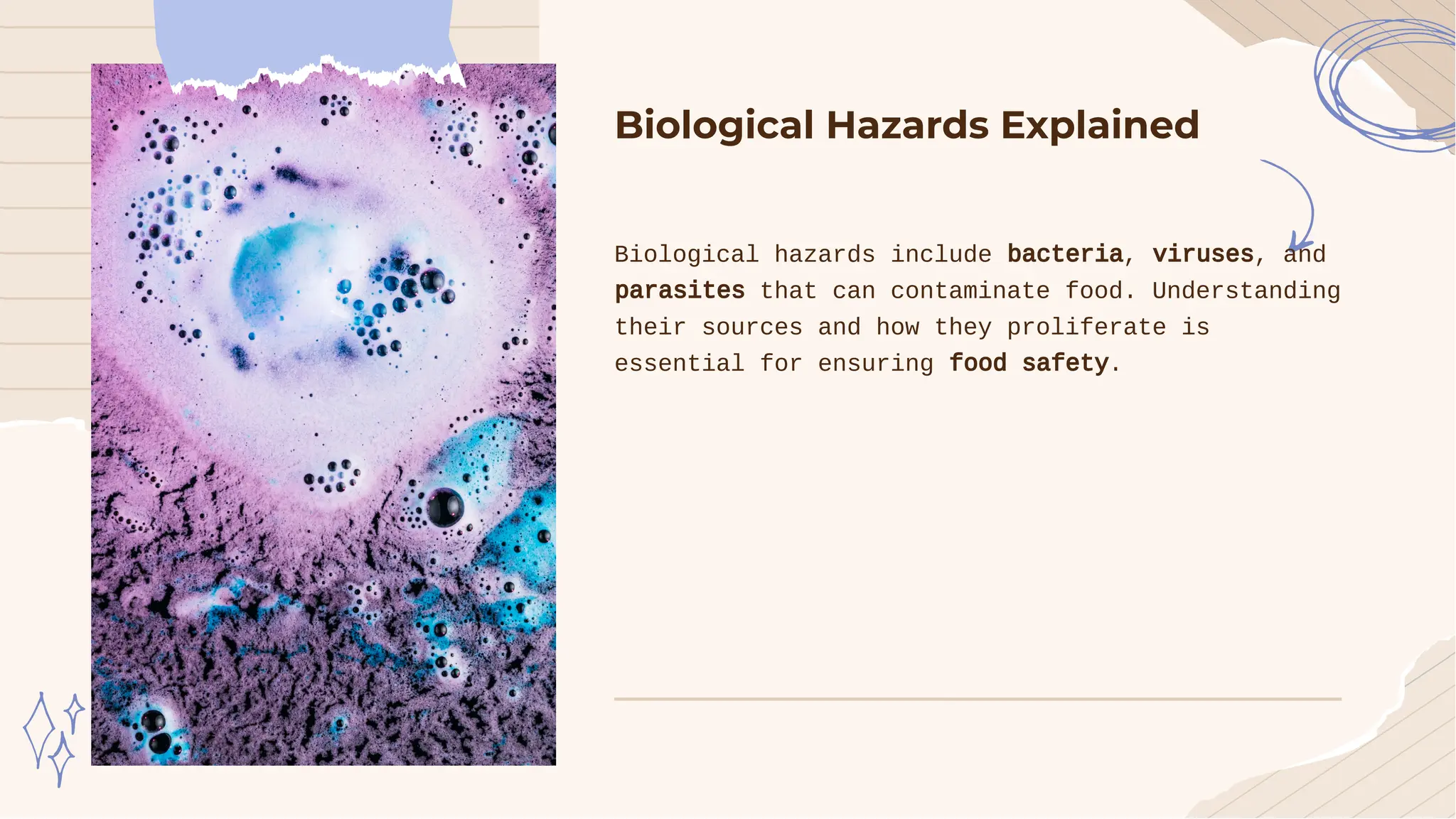 Types of hazards in food industry and example | PDF