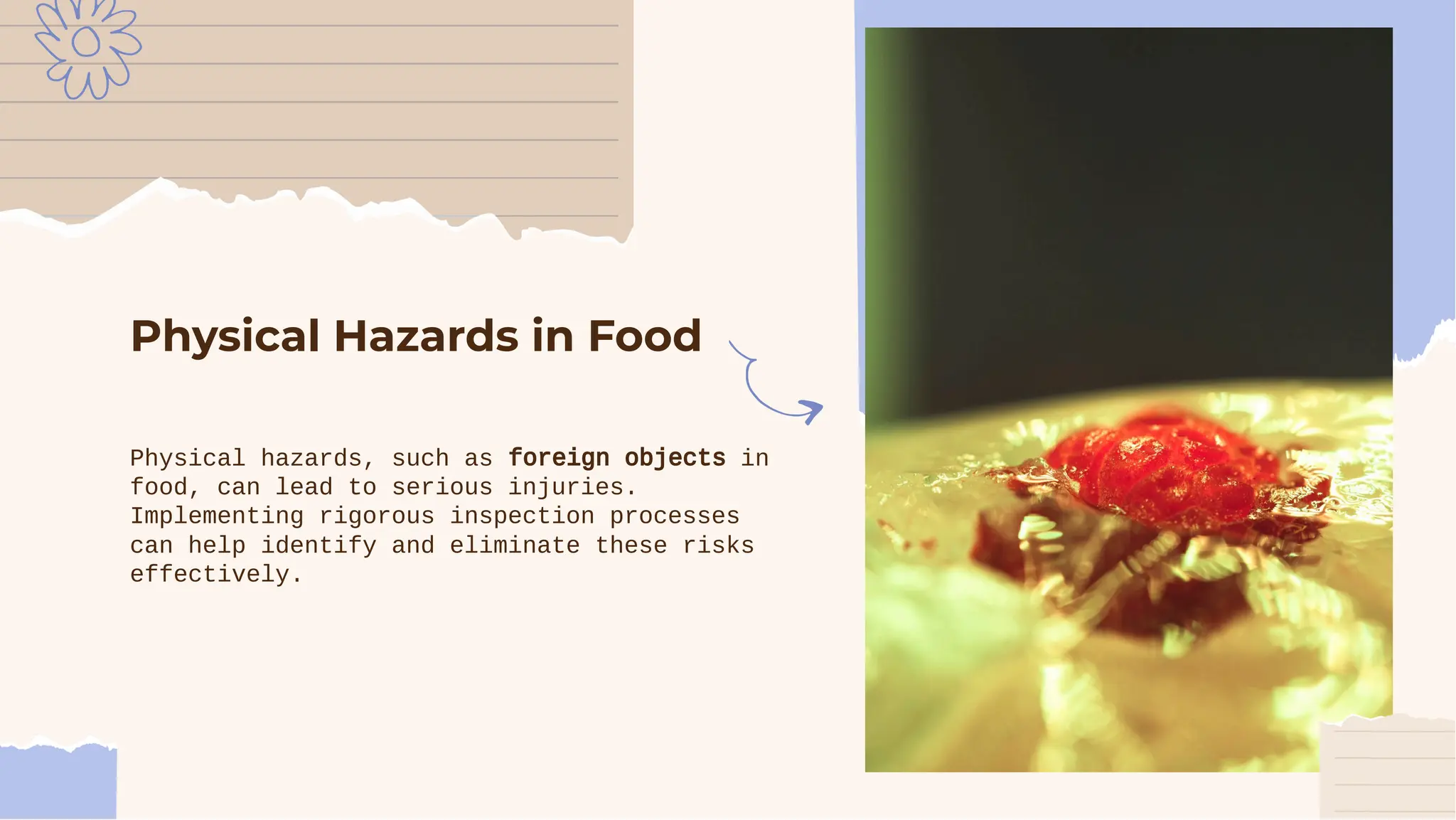 Types of hazards in food industry and example | PDF