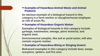 HAZARDS- RISK MGMT-MID: Examples of.pptx