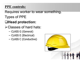 Hazards and risk management | PPTX