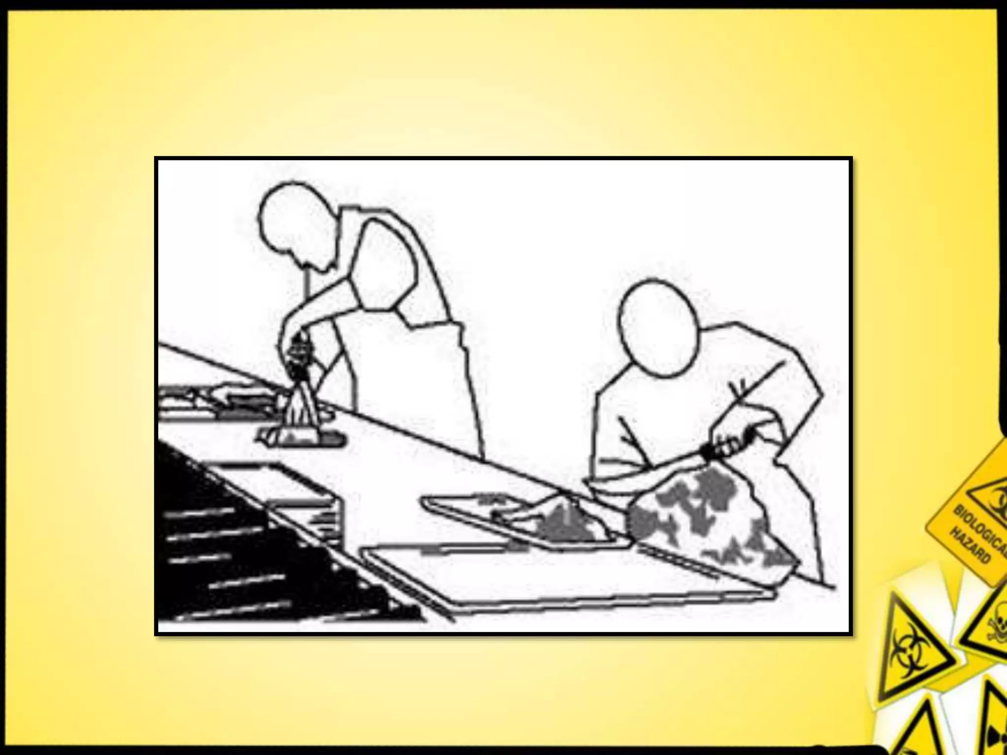 Hazards and risks | PPTX