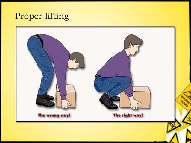 Hazards and risks | PPTX