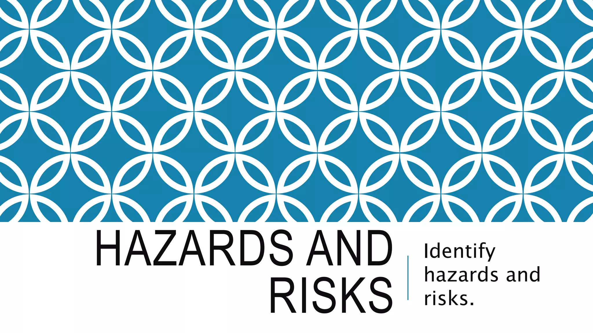 Hazards and Risks.pptx