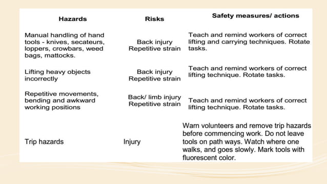 Hazards and risks in the workplace | PPTX