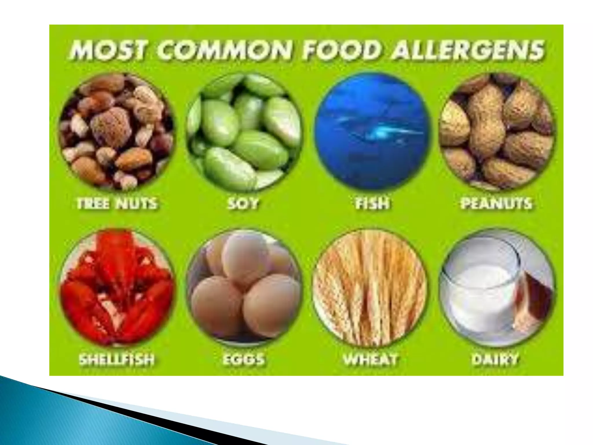 Hazards in foods | PPTX