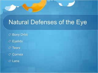 Hazards of Dental Practice to the Eye | PPTX