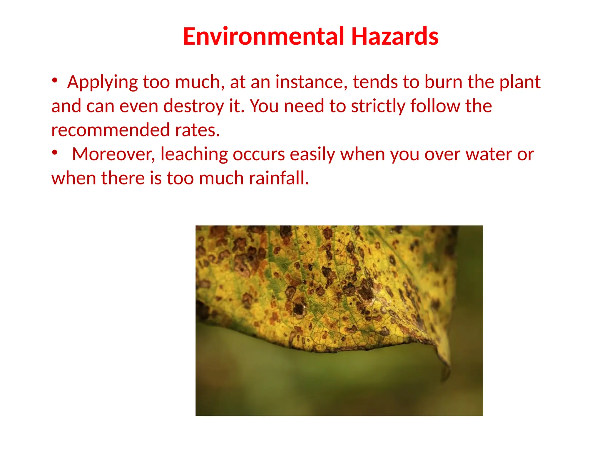 Hazards of fertilizers environmental chemistry .pptx