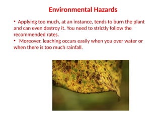 Hazards of fertilizers environmental chemistry .pptx