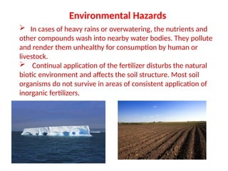 Hazards of fertilizers environmental chemistry .pptx