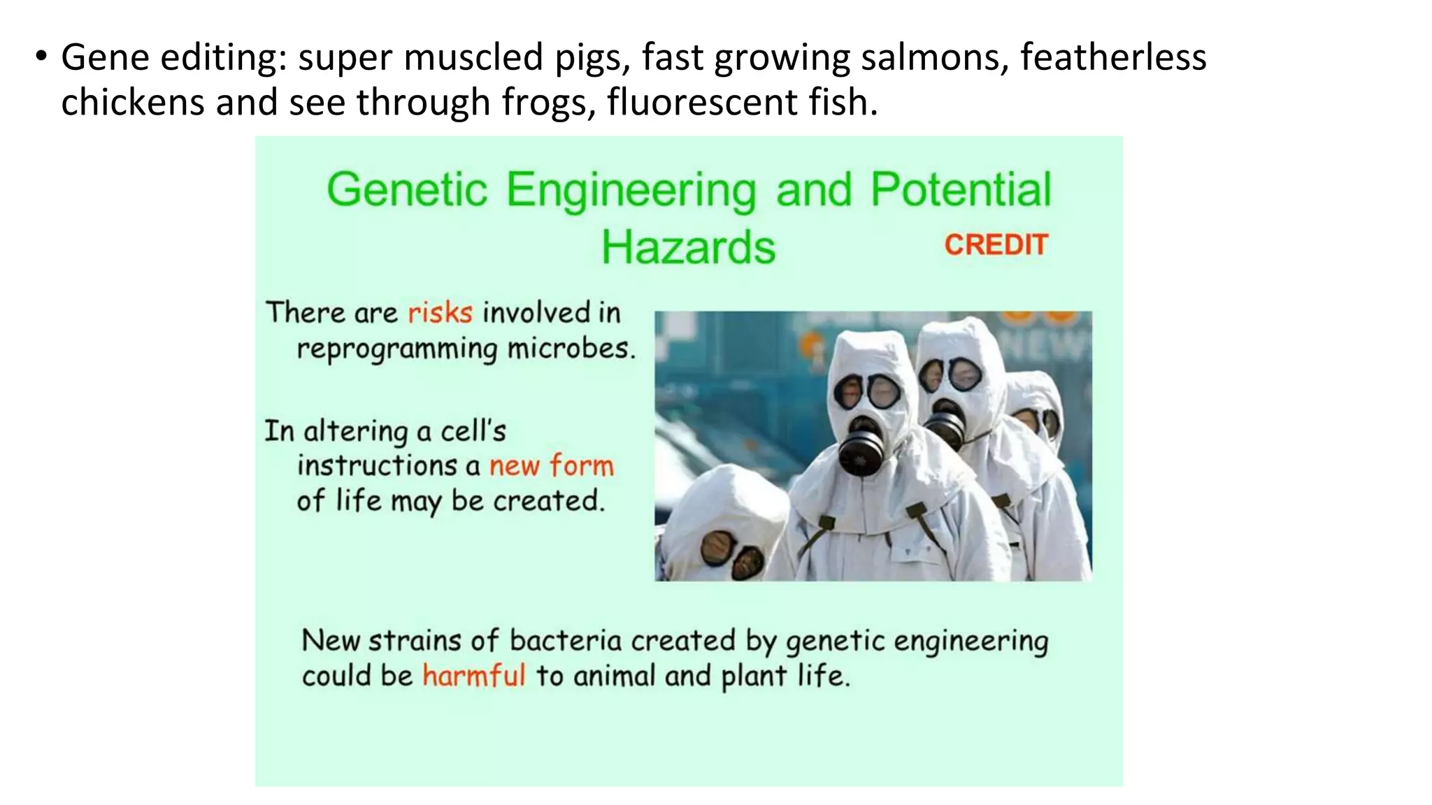 Hazards of genetic engineering | PPTX