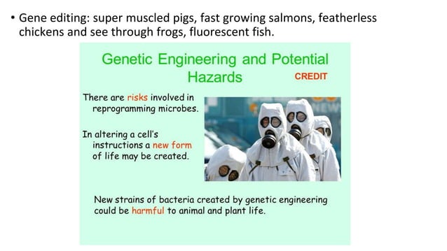 Hazards of genetic engineering | PPTX