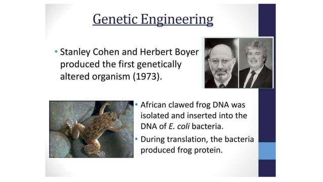 Hazards of genetic engineering | PPTX