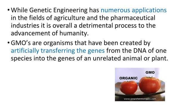Hazards of genetic engineering | PPTX