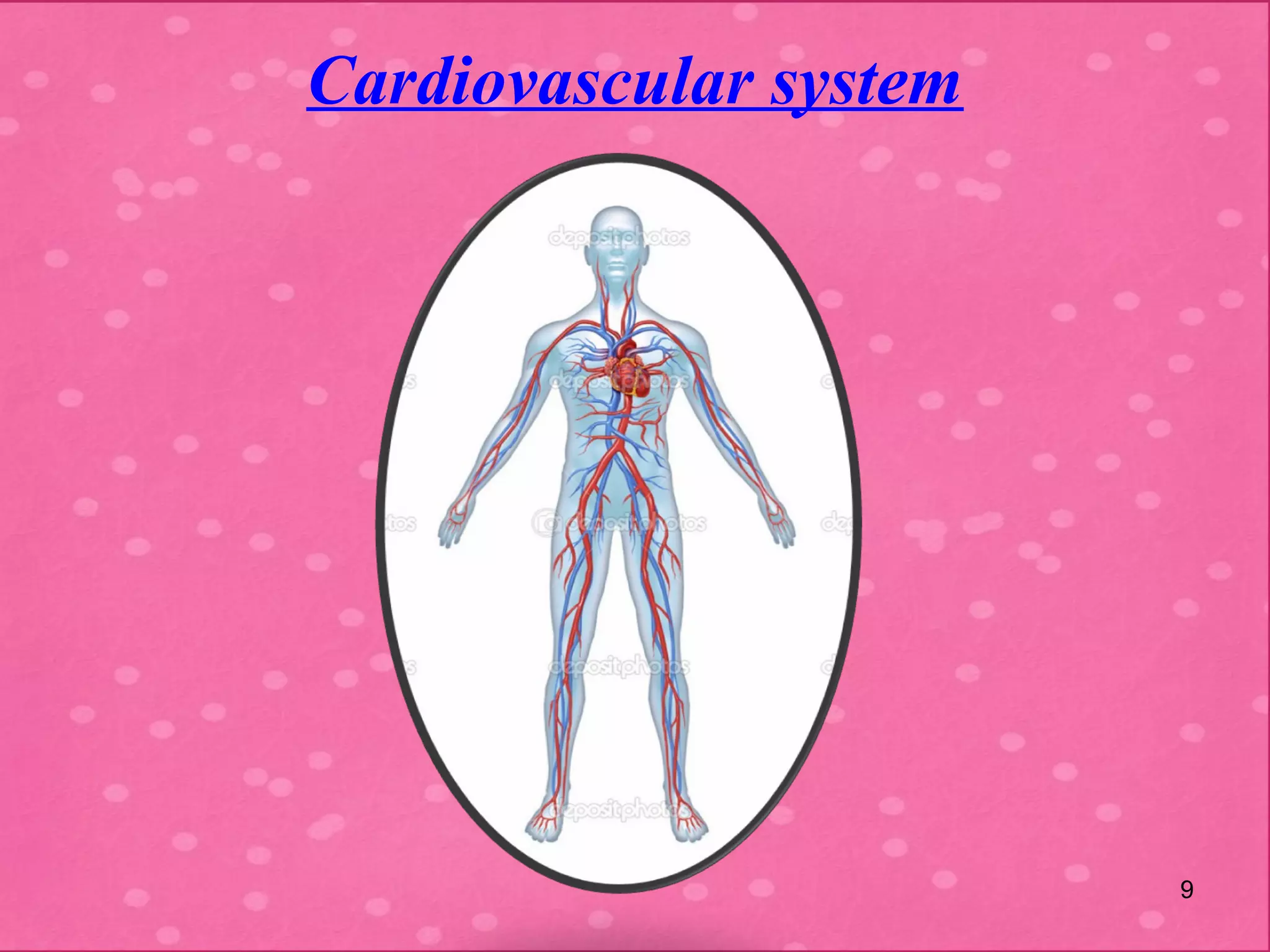 complications / Hazards of immobility | PPT