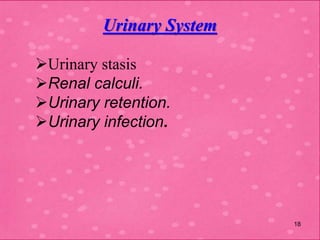 hazardsofimmobility8-9-14-150527112715-lva1-app6892 (1).ppt