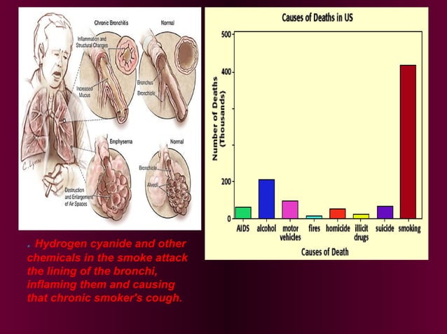 Hazards Of Smoking | PPT