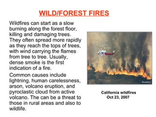 Hazards & Types Of Disasters | PPT