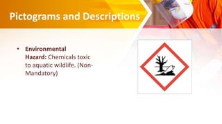 Hazard symbols | PPTX