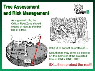 Hazard trees isa cert revised 0308 | PPT