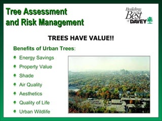 Hazard trees isa cert revised 0308 | PPT