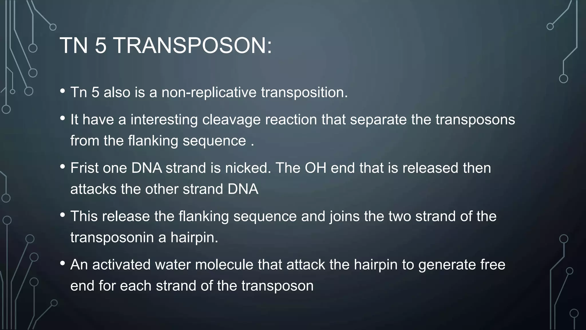 Transposition | PPTX