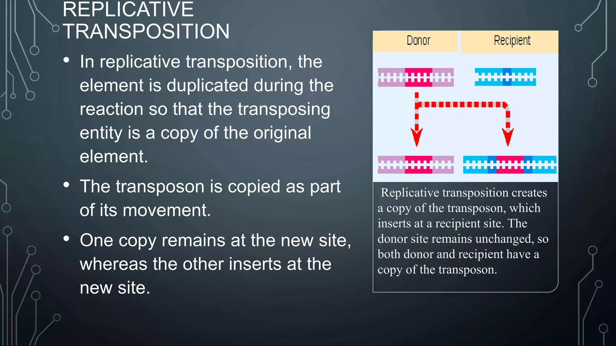 Transposition | PPTX