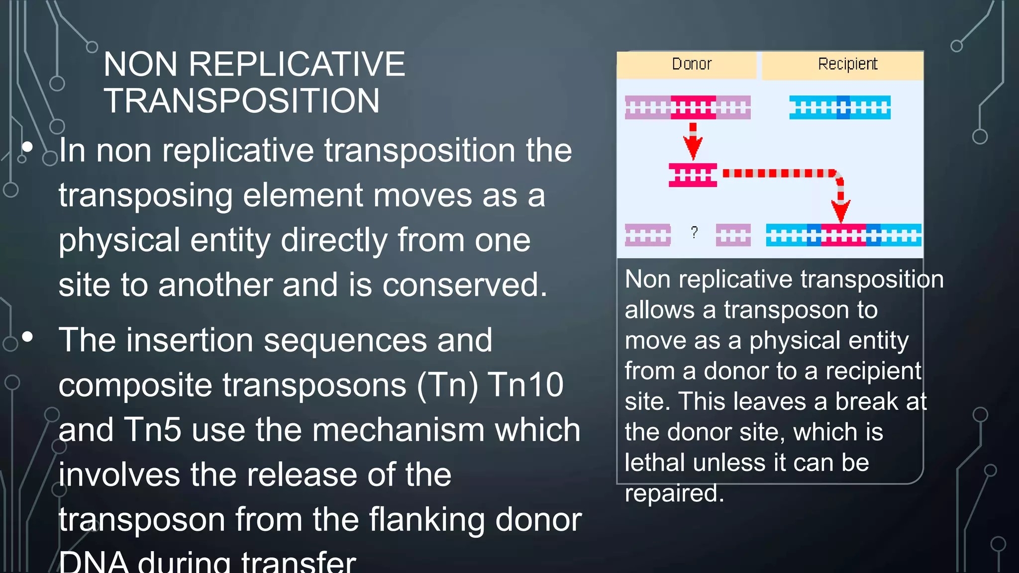 Transposition | PPTX