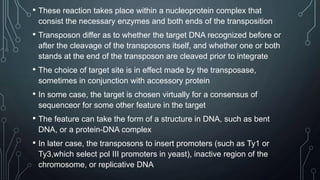 Transposition | PPTX