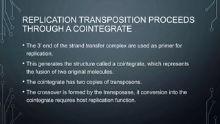 Transposition | PPTX