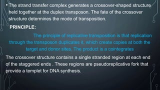 Transposition | PPTX