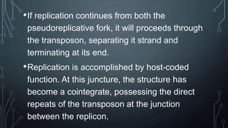 Transposition | PPTX