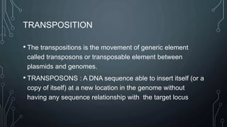 Transposition | PPTX