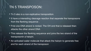 Transposition | PPTX