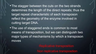 Transposition | PPTX