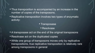 Transposition | PPTX