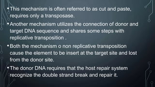 Transposition | PPTX