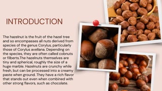 Hazelnut Market Report | PDF