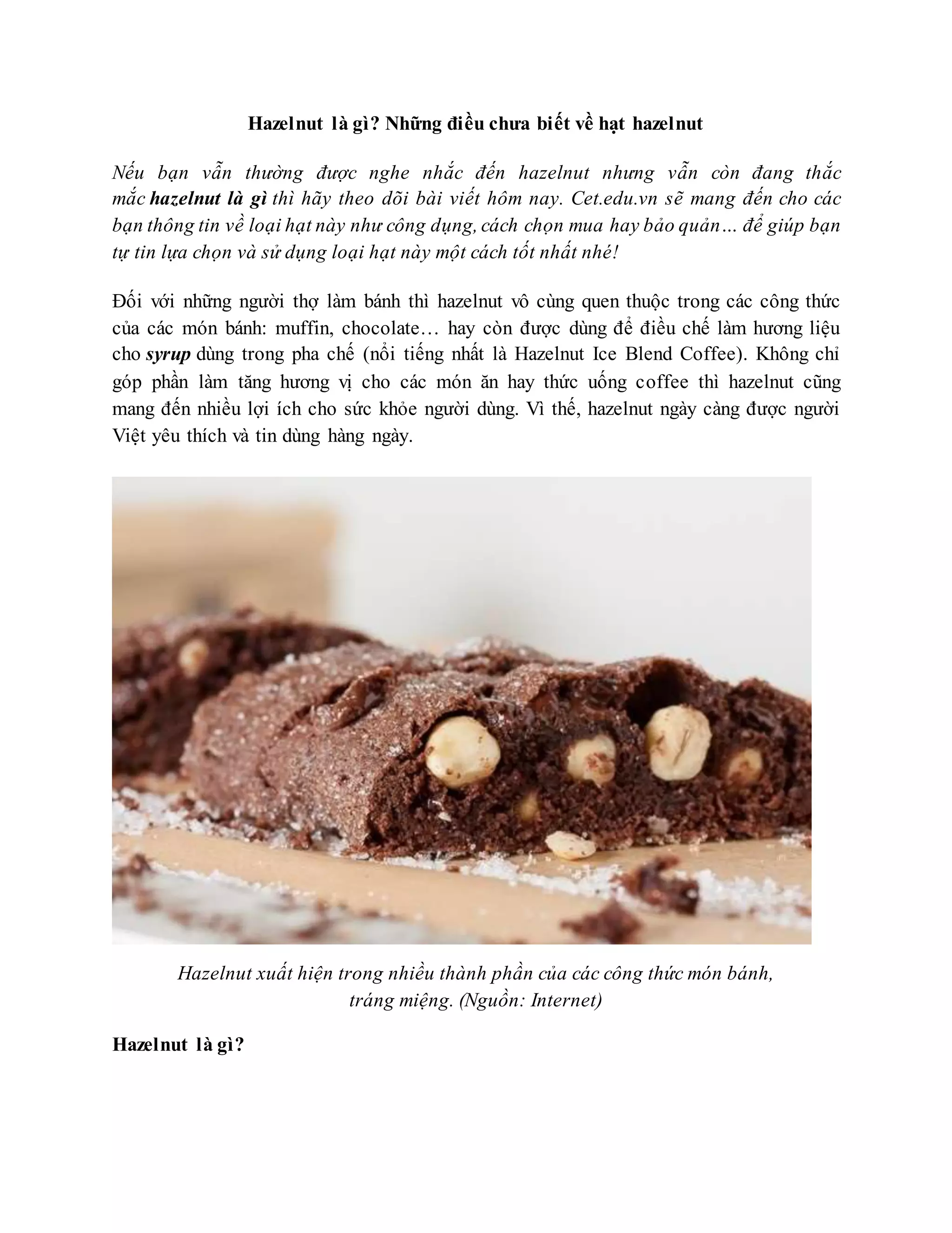 Hazelnut là gì? Những điều chưa biết về hạt Hazelnut | DOCX