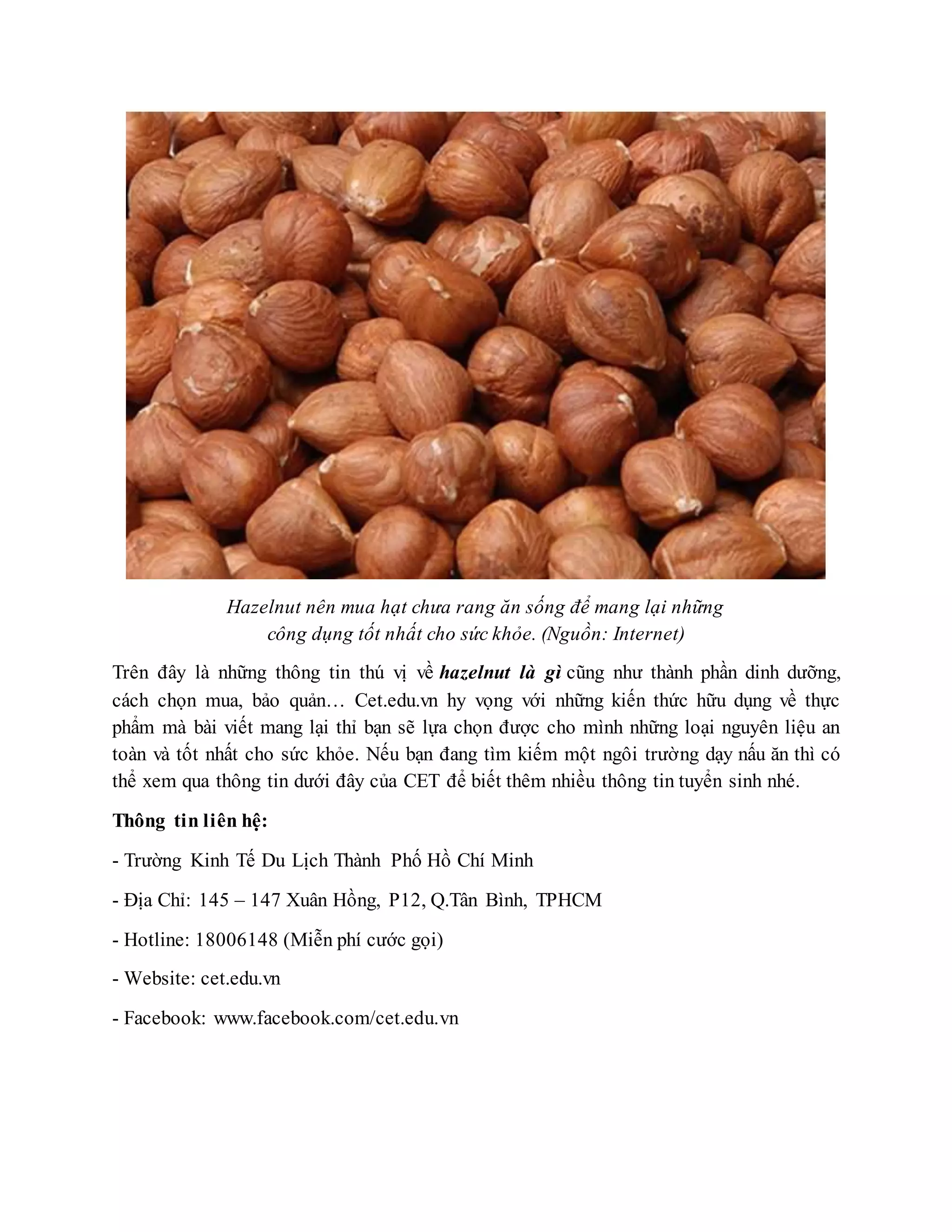 Hazelnut là gì? Những điều chưa biết về hạt Hazelnut | DOCX